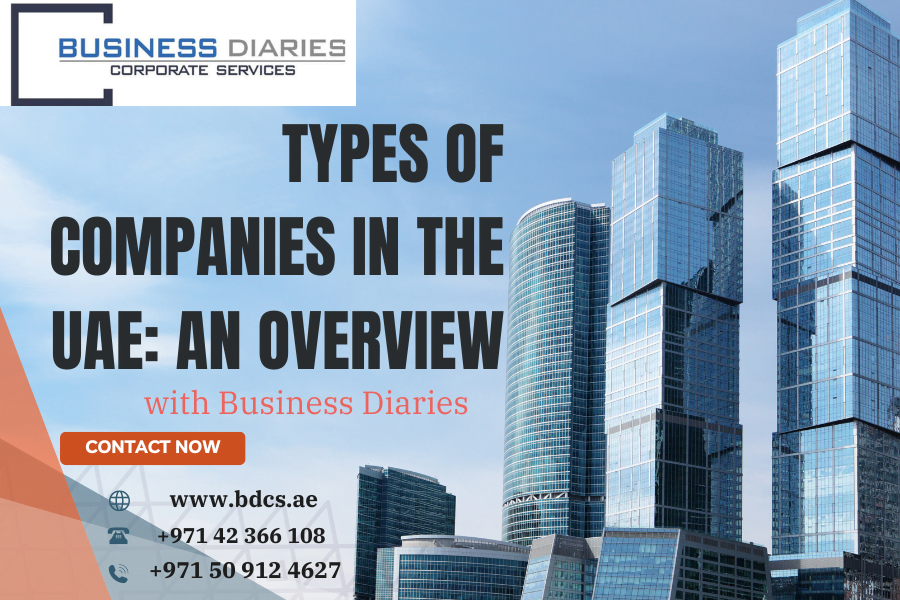 Types of Companies in the UAE: An Overview